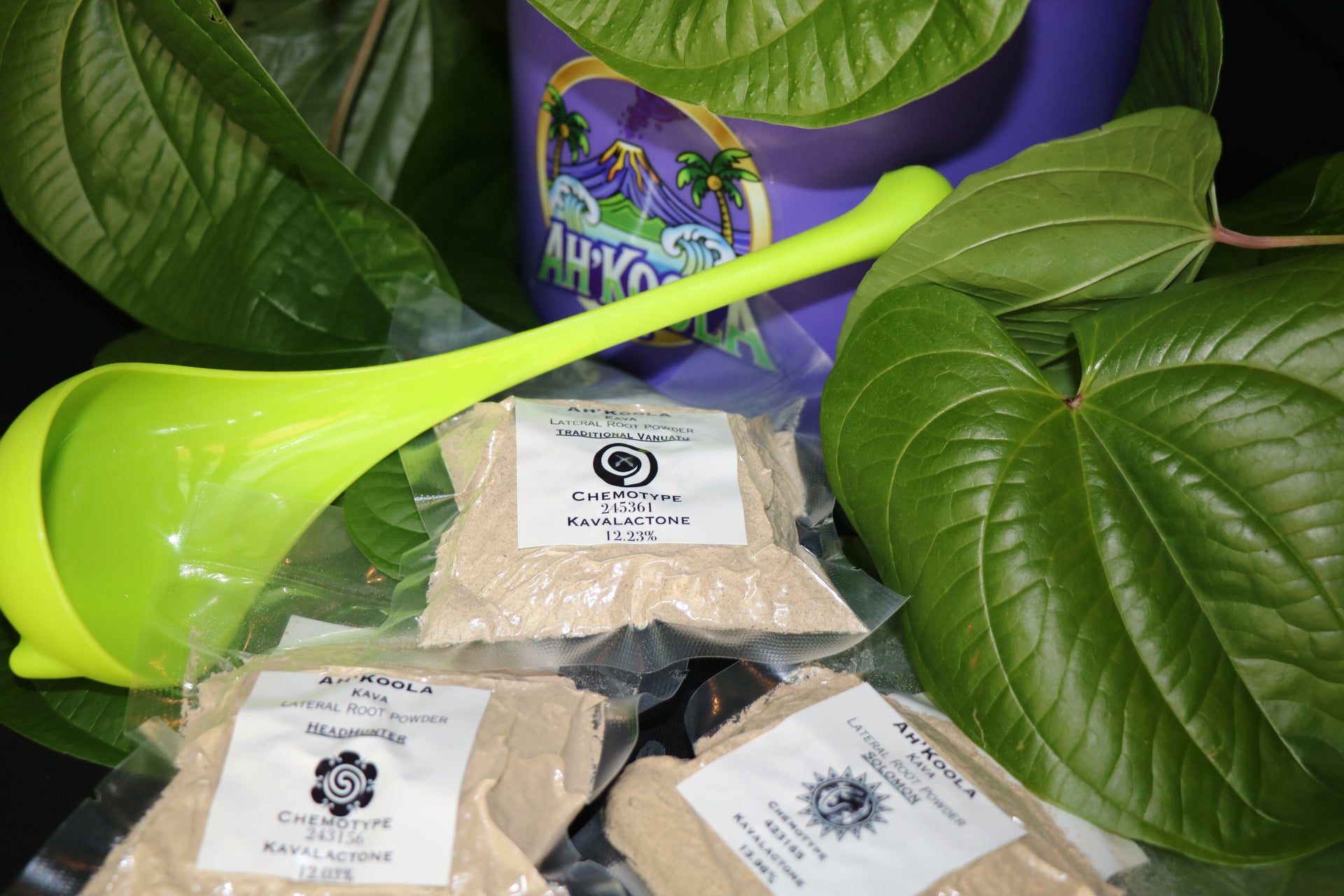 Noble Tea Kava Homebrew Kits