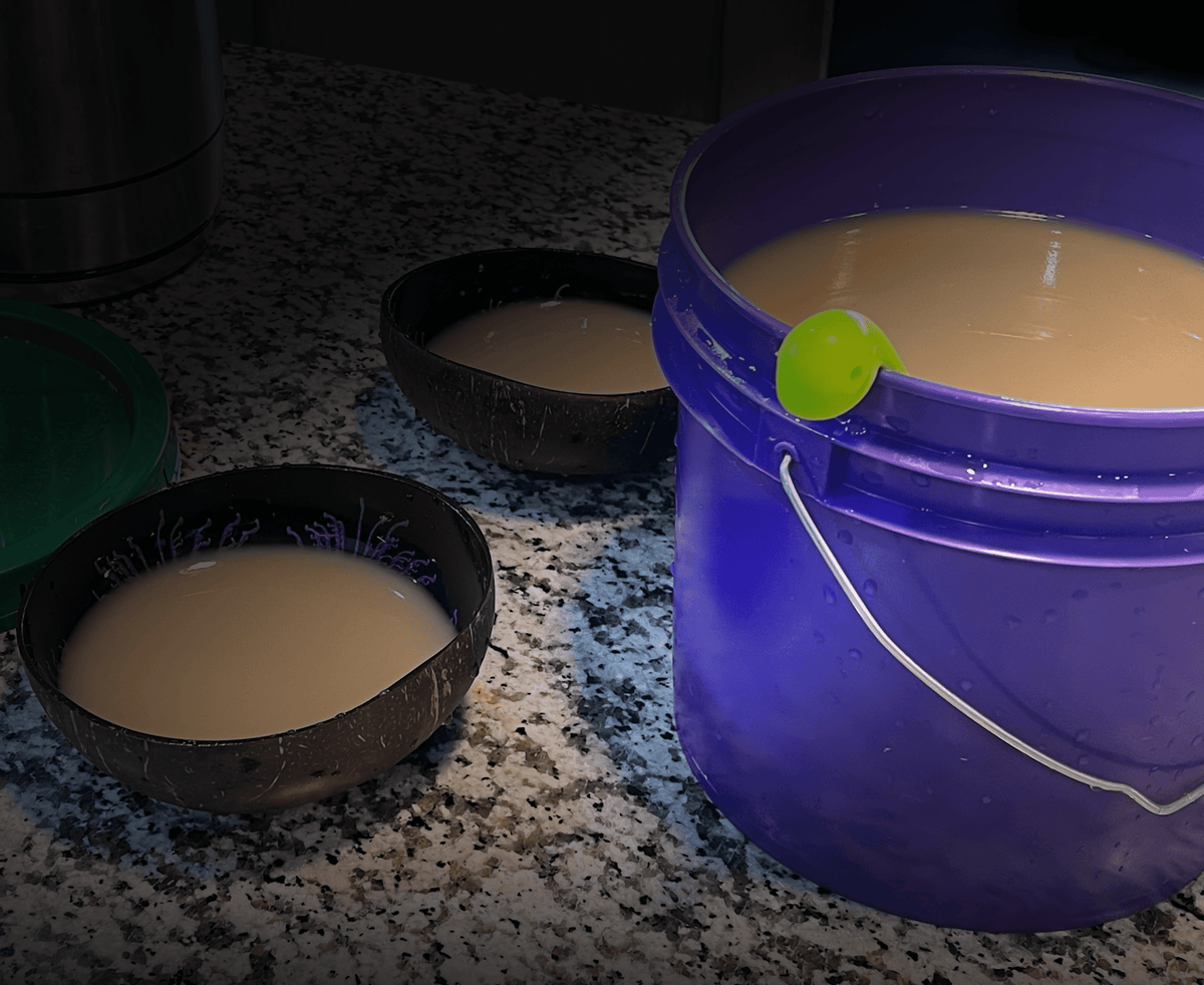 Noble Tea – Noble Tea Kava